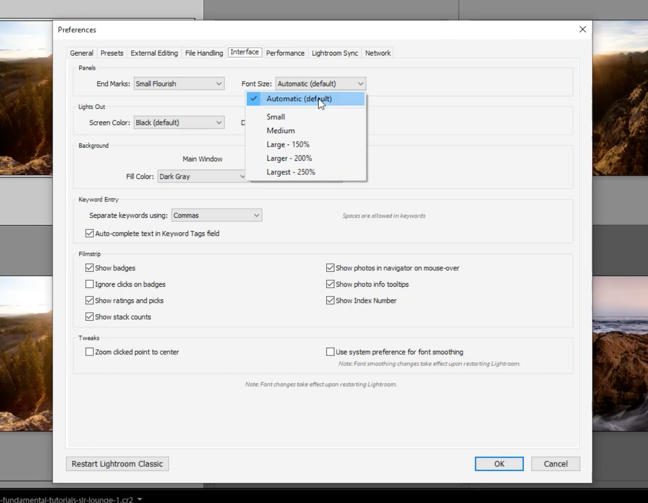 How to Customize Your Lightroom Preferences