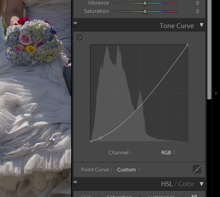 Lightroom Tone Curves Tutorial