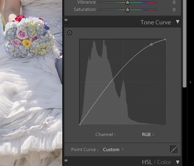 Lightroom Tone Curves Tutorial