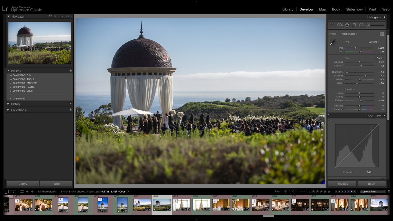 Lightroom Tone Curves Tutorial