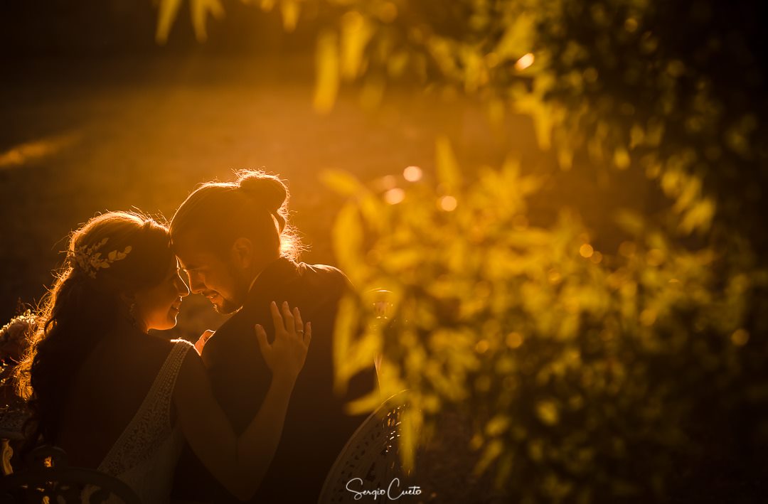 Warm Tones - Community Feature & Lightroom Tips